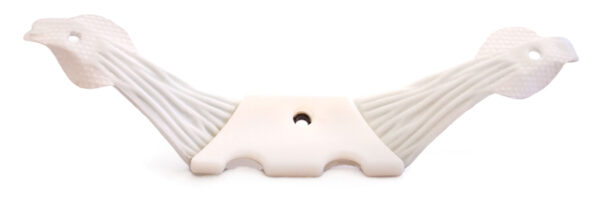 Sacrospinous Ligament – Miyazaki Enterprises