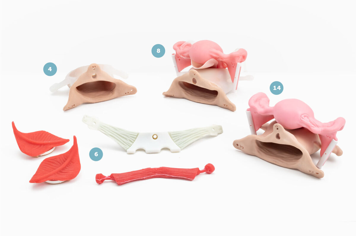 Miya Model – Multi-Procedural Simulation Package – Basic – Miyazaki ...